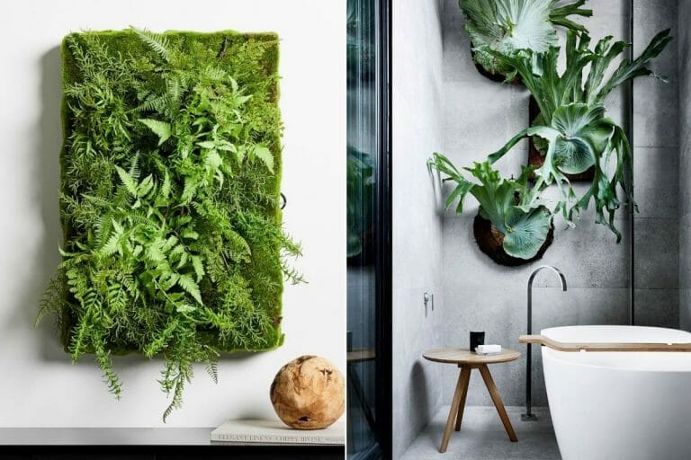 Plants in Interior Design: How to Make Your Home Flourish - Decorilla