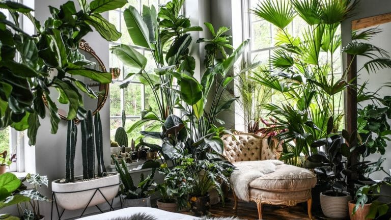 Plants in Interior Design: How to Make Your Home Flourish - Decorilla ...
