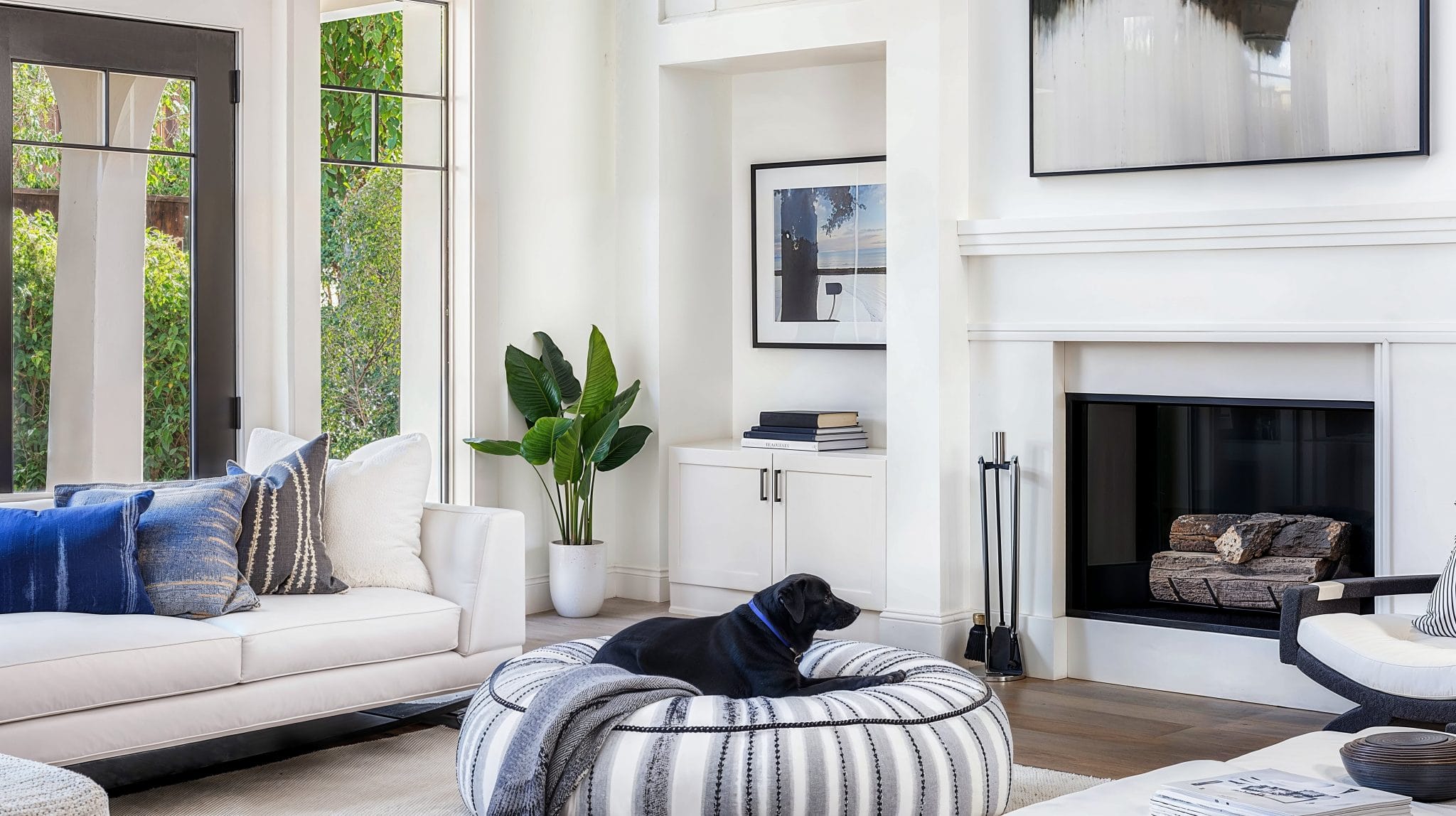 Pet-Friendly Furniture & Home Decor Tips: Styling Your Space for Paws ...